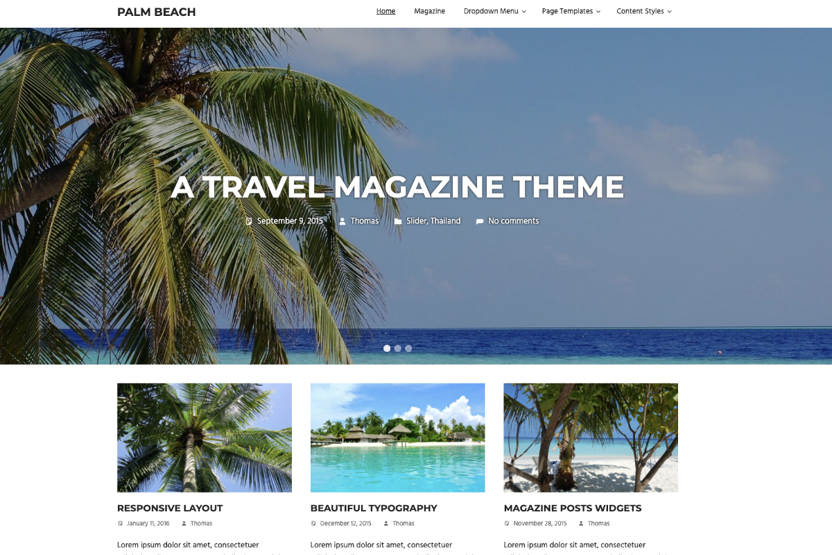 Theme – AMP for WordPress